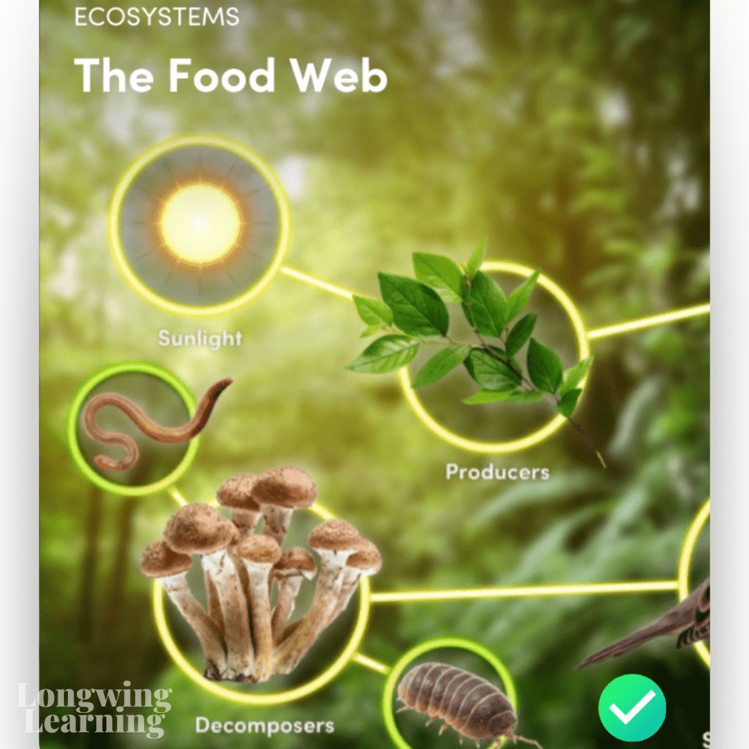 Digital Science Activities: Interdependence - Longwing Learning I ELA ...