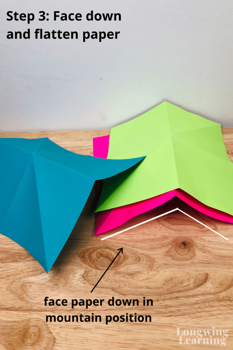 Exploding Book Tutorial - Longwing Learning I ELA Worksheets For Upper ...