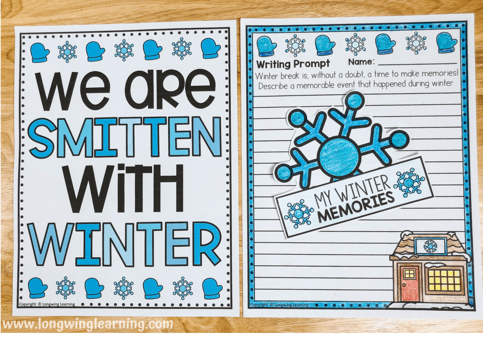 Lesson Plan Ideas For After Winter Break - Longwing Learning